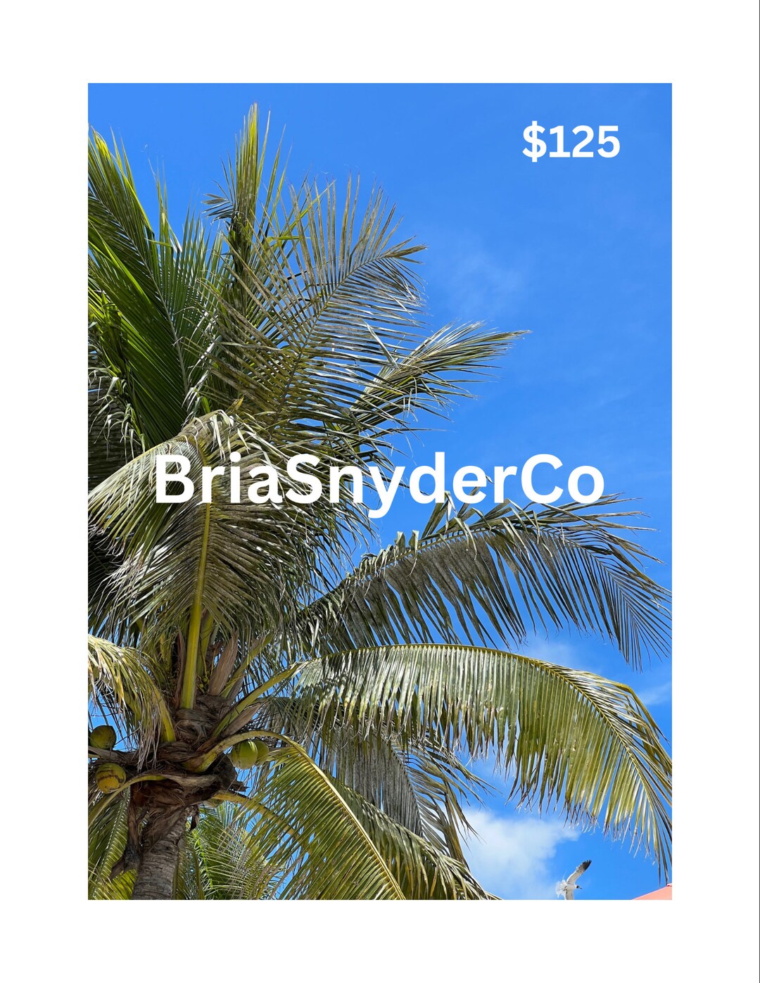 Travel Photo Series: Palm Tree Scratch off Savings Challenge - Etsy
