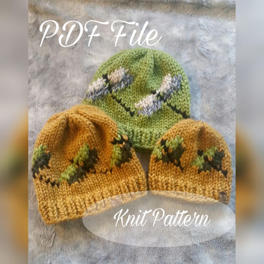Knit Hat Pattern, Knit Pattern, PDF File, Dragonfly Hat Pattern ...
