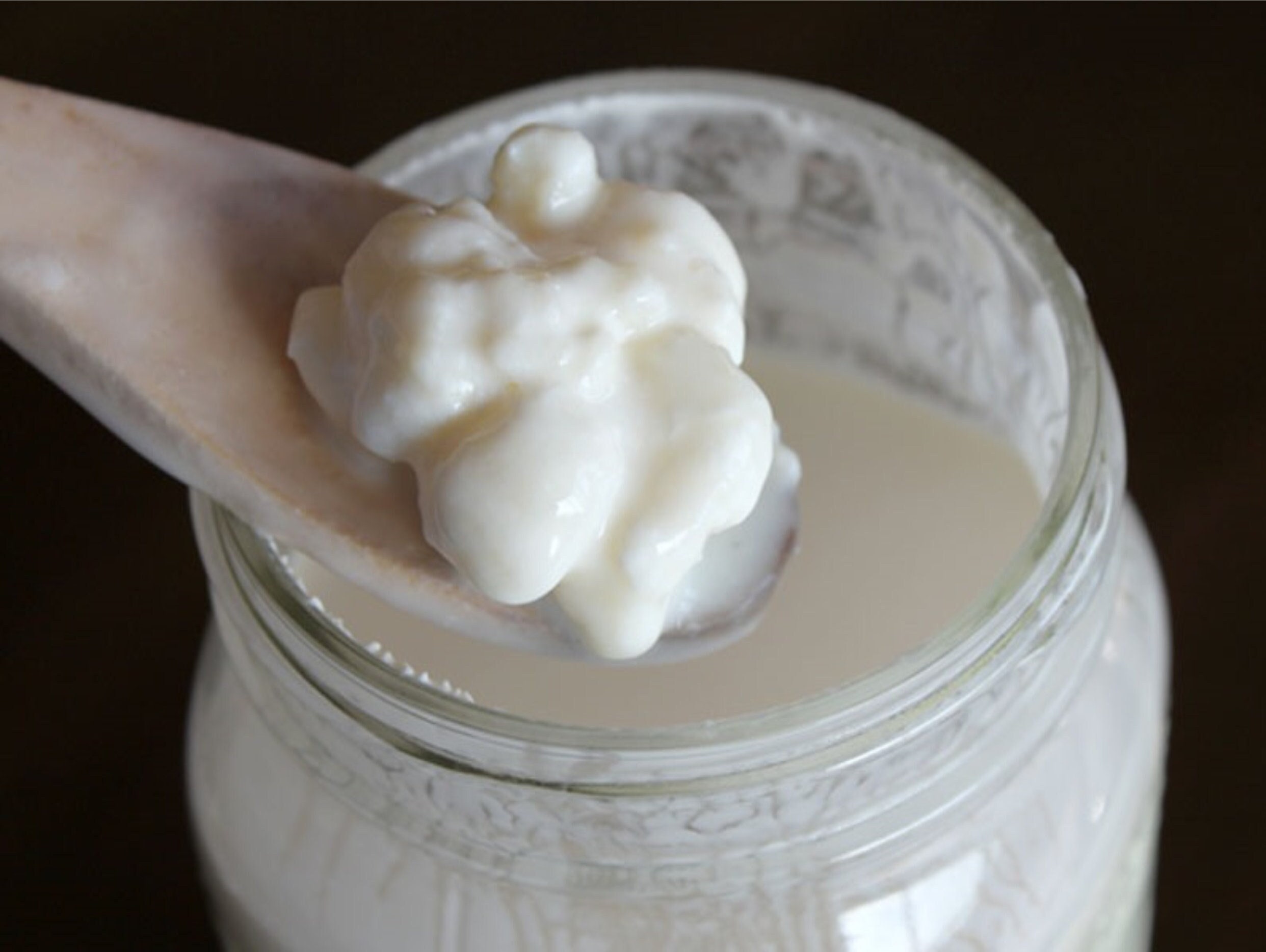 10 Gr Organic Live Milk Kefir Grains Tibetan Probiotic Culture Starter ...