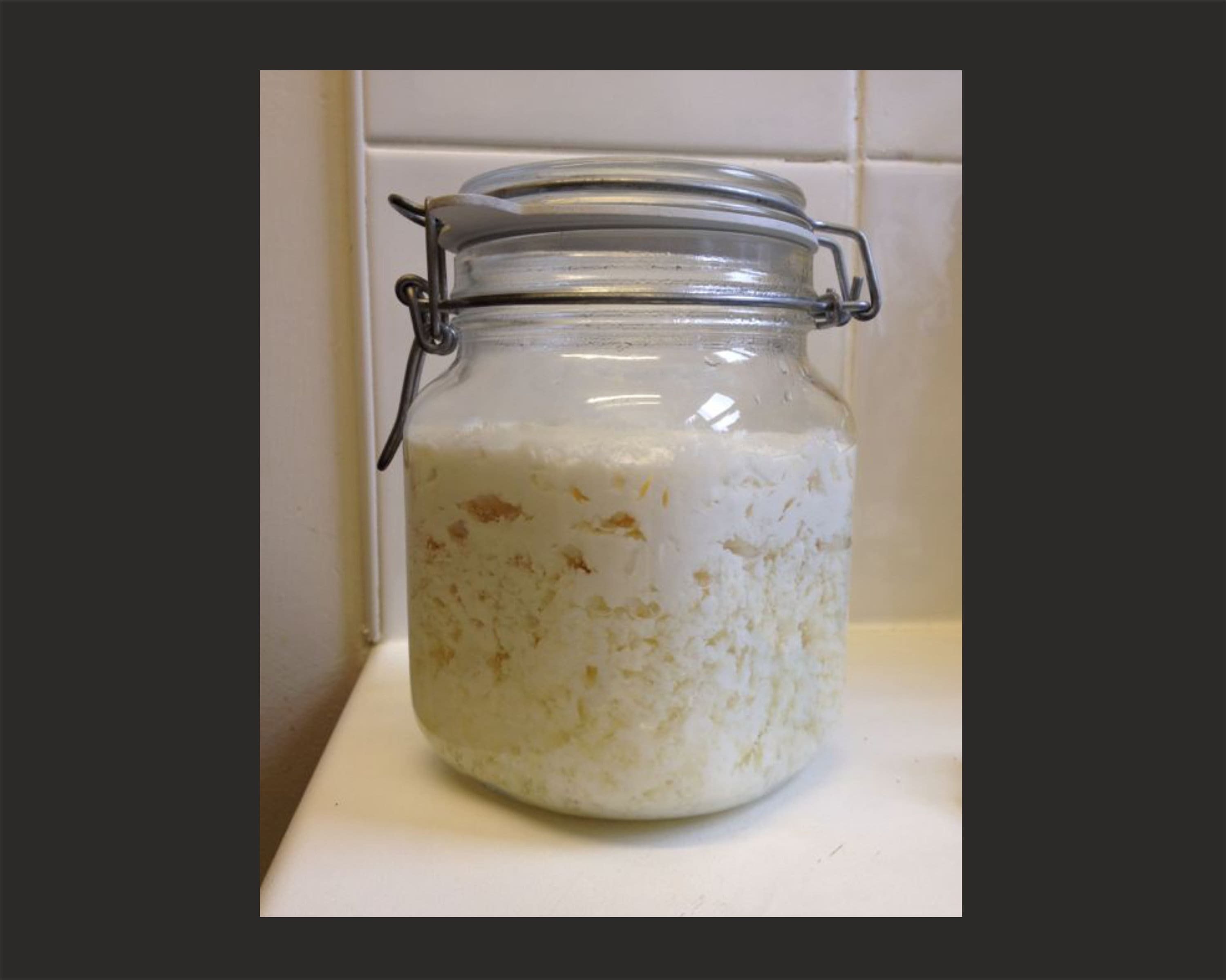 12g Organic Live Milk Kefir Grains,free Instruction, Tibetan Probiotic ...