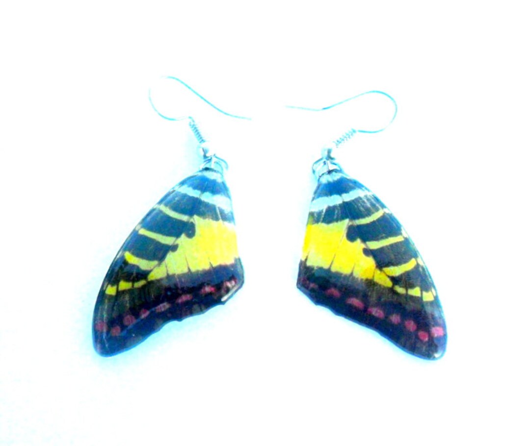 Real Butterfly Wings Earrings Handmade Unsual Color Jewelry Gift ...