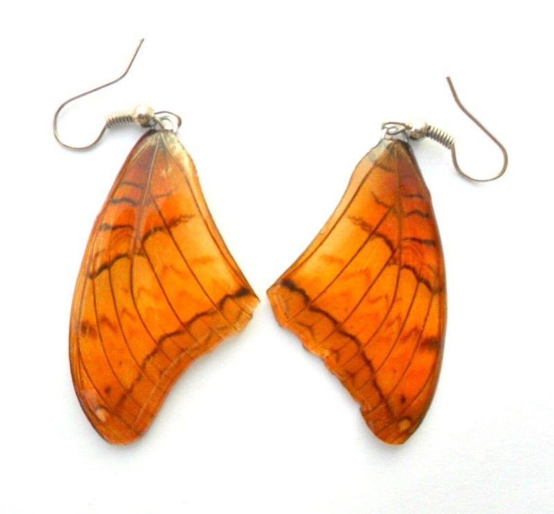 Real Butterfly Wings Earrings Handmade Unsual Color Jewelry - Etsy