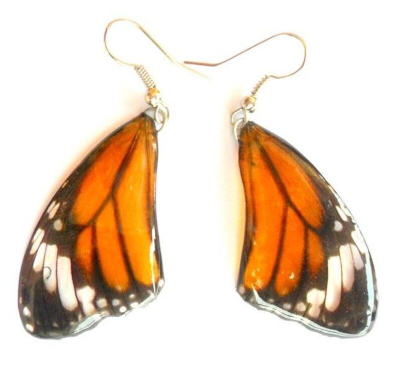 Real Butterfly Wings Earrings Handmade Unsual Color Jewelry - Etsy