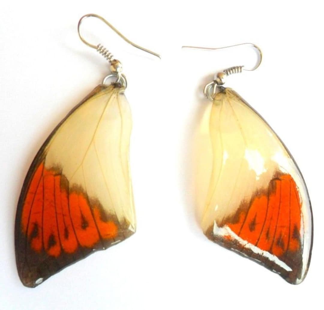 Real Butterfly Resin Earring, Monarch Butterfly Earrings, Taxidermy ...