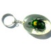 Real Beetle Insect Key Ring Genuine Insect Taxidermy - Etsy