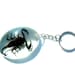 Real Scorpion Key Ring Genuine Insect Taxidermy Entomology Scorpion Key ...