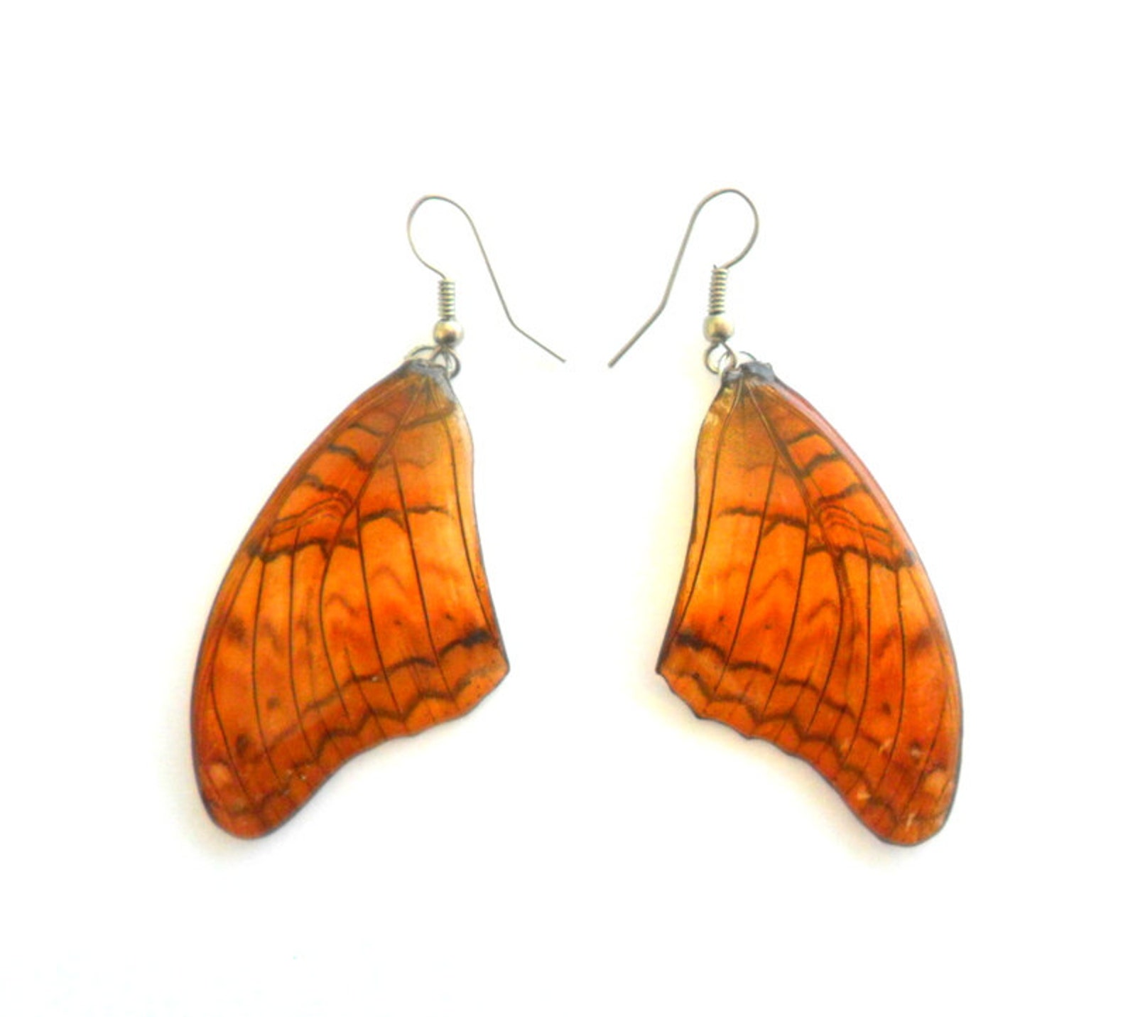 Real Butterfly Wings Earrings Handmade Jewelry Gift / Honey - Etsy