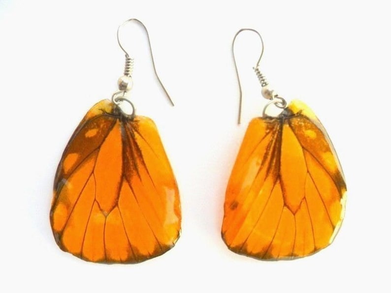 Real Butterfly Wings Earrings Handmade Unsual Color Jewelry - Etsy