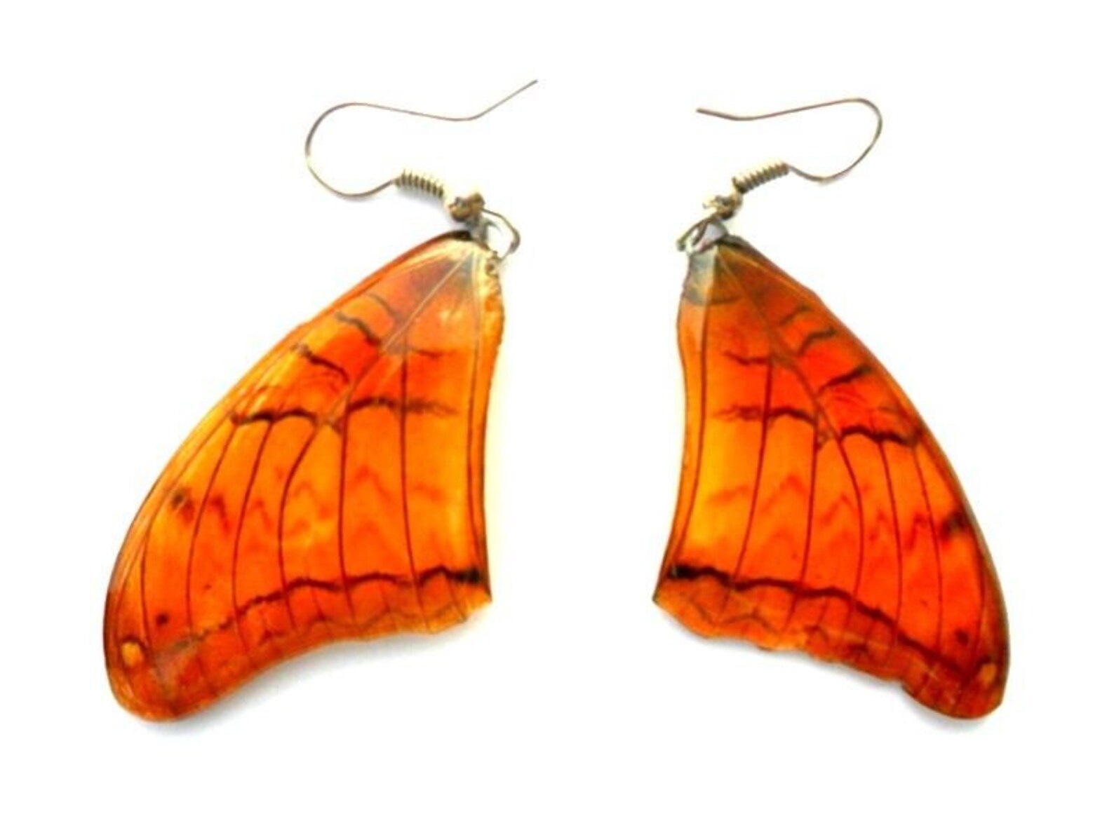 Real Butterfly Wings Earrings Handmade Unsual Color Jewelry - Etsy
