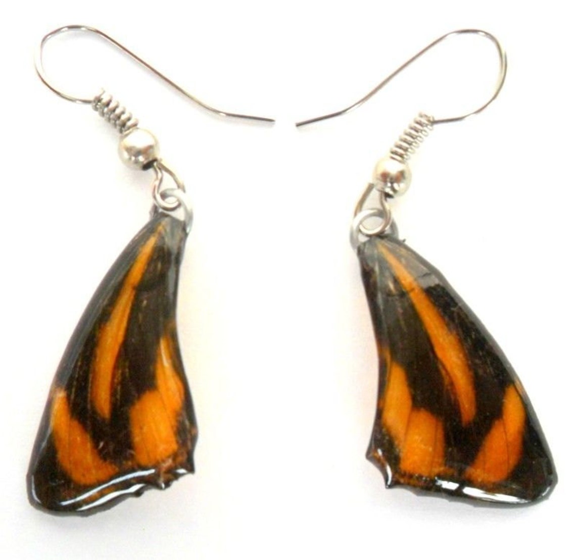 Real Butterfly Wings Earrings Handmade Unsual Color Jewelry - Etsy