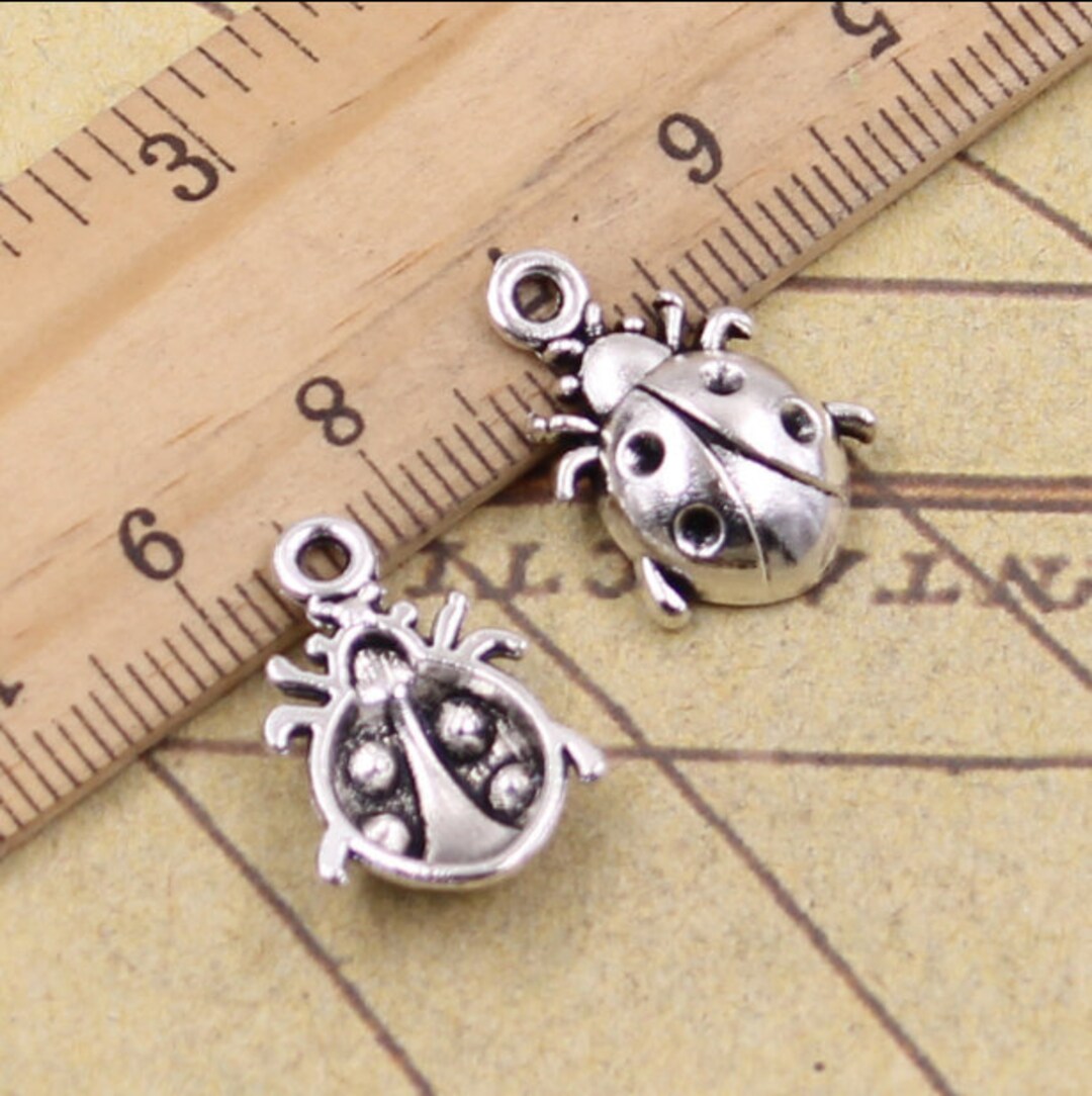 40pcs Beetle Charms Pendant 19x13mm Antique Silver Ornament Accessories ...