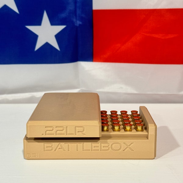 22lr Ammo Storage - Etsy