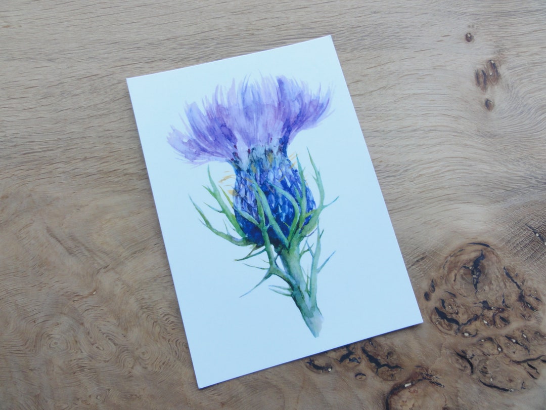 Thistle Blank Note Card // Flower of Scotland // Gift Card Scotland ...