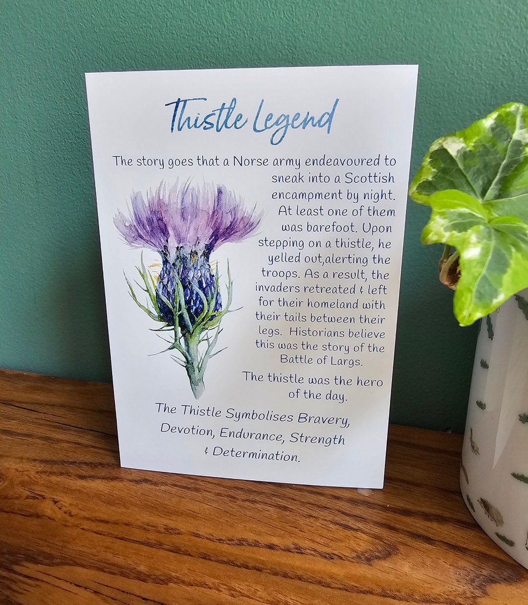 Thistle Story Greetings Card // Flower of Scotland // Thistle Legend ...