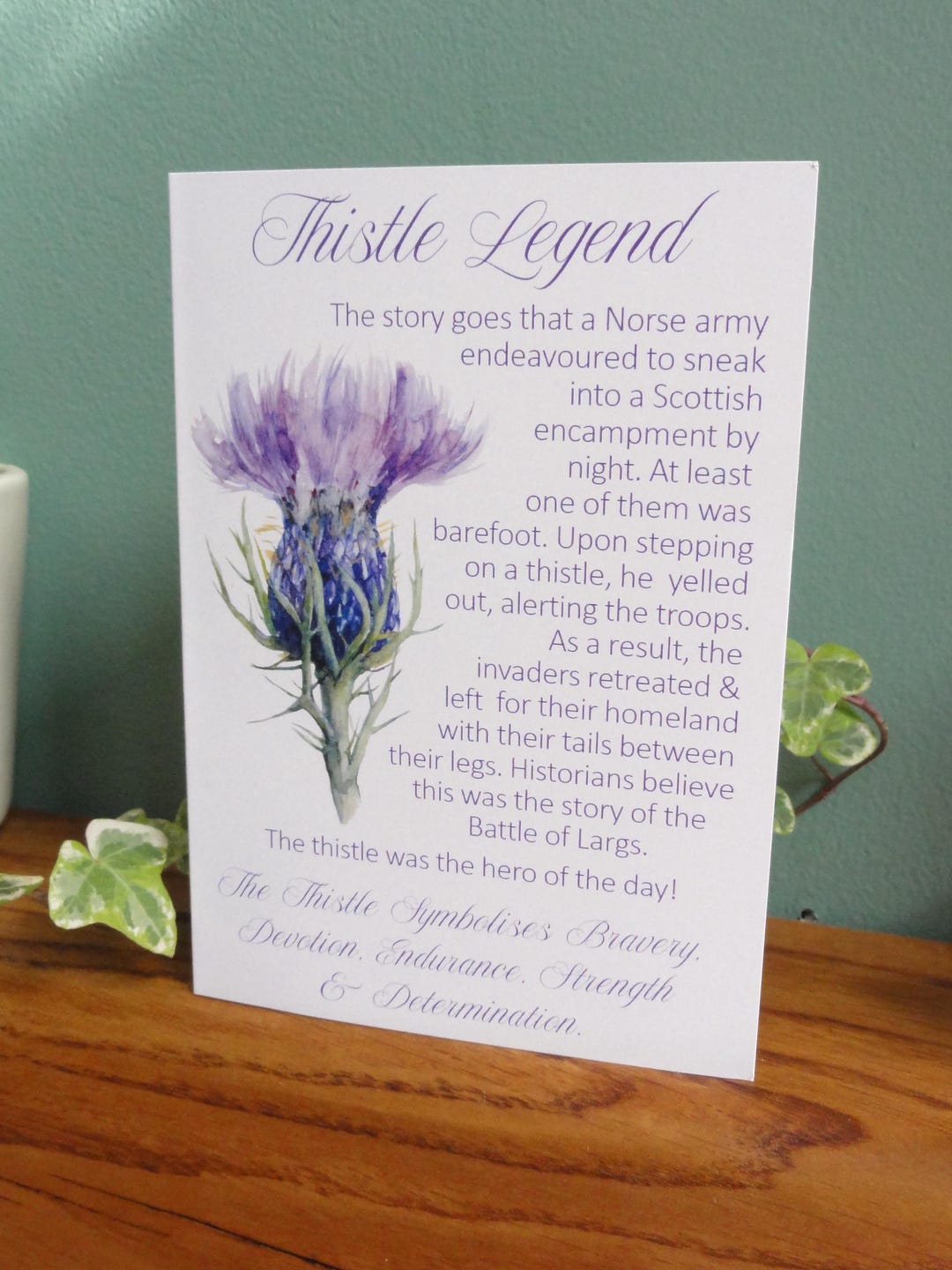 Thistle Story Greetings Card // Flower of Scotland // Thistle Legend ...