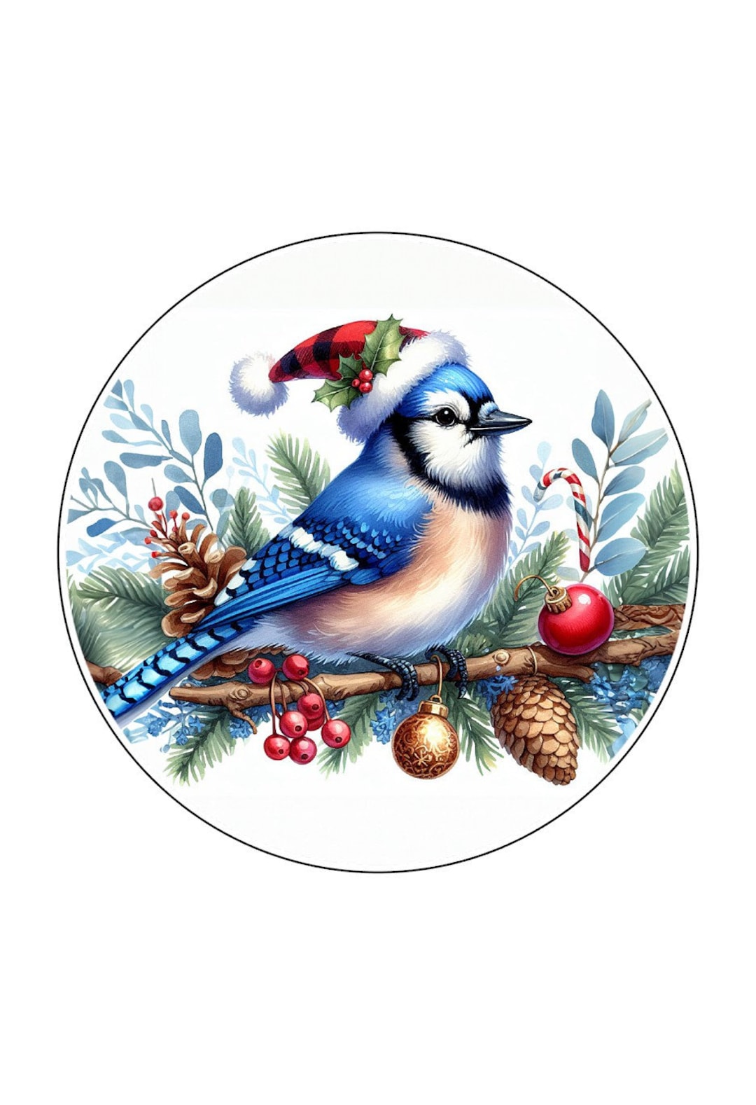 Snowy Blue Jay Metal Wreath Attachment Sign, Christmas Wreath ...