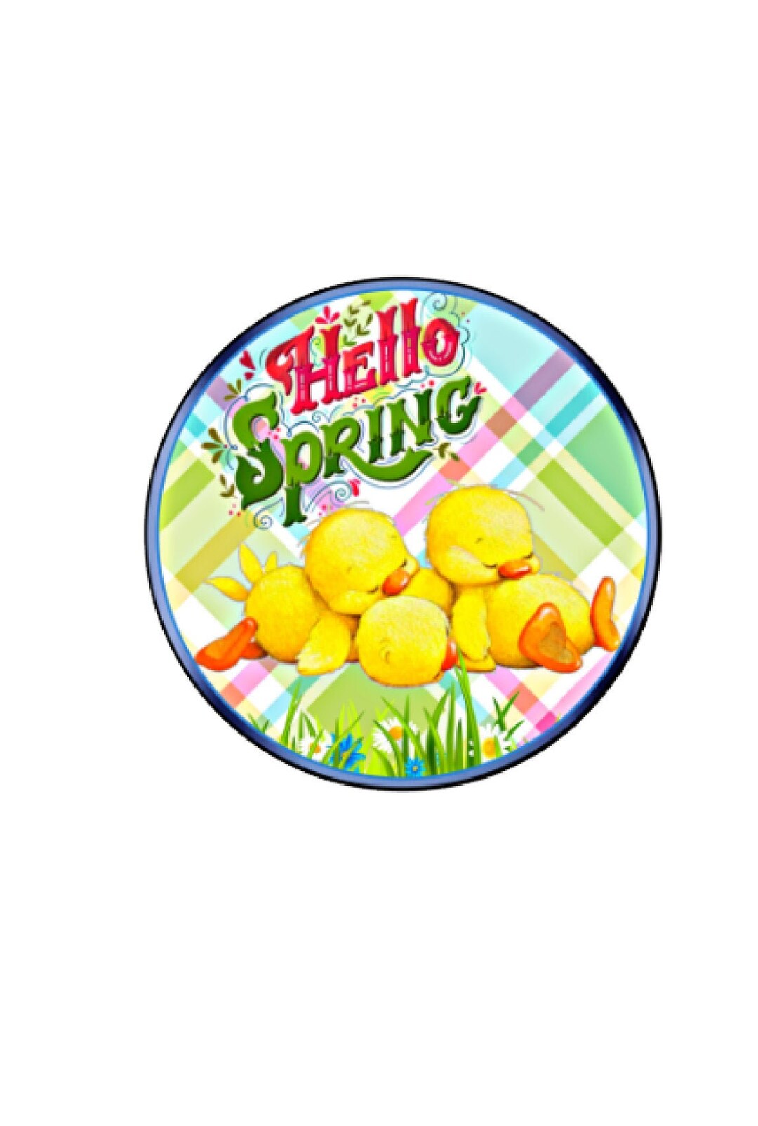 Hello Spring Duck Metal Sign , Spring Wreath Attachment, Spring ...