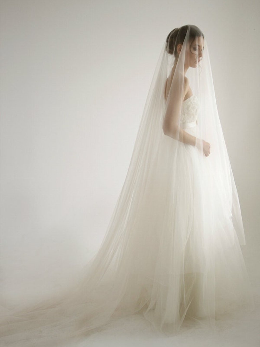 Simple Cathedral Soft Tulle Wedding Veil With Knee Blusher, Blusher ...