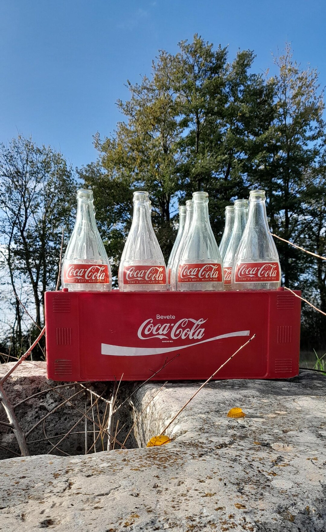 17" Collectible Coca-cola 1 Liter Bottles & Basket, Plastic Coke Holder ...