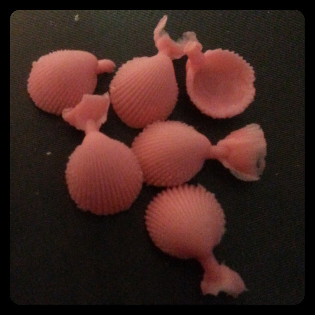 6 Clam Shell Wax Patterns for Lost Wax Casting. - Etsy