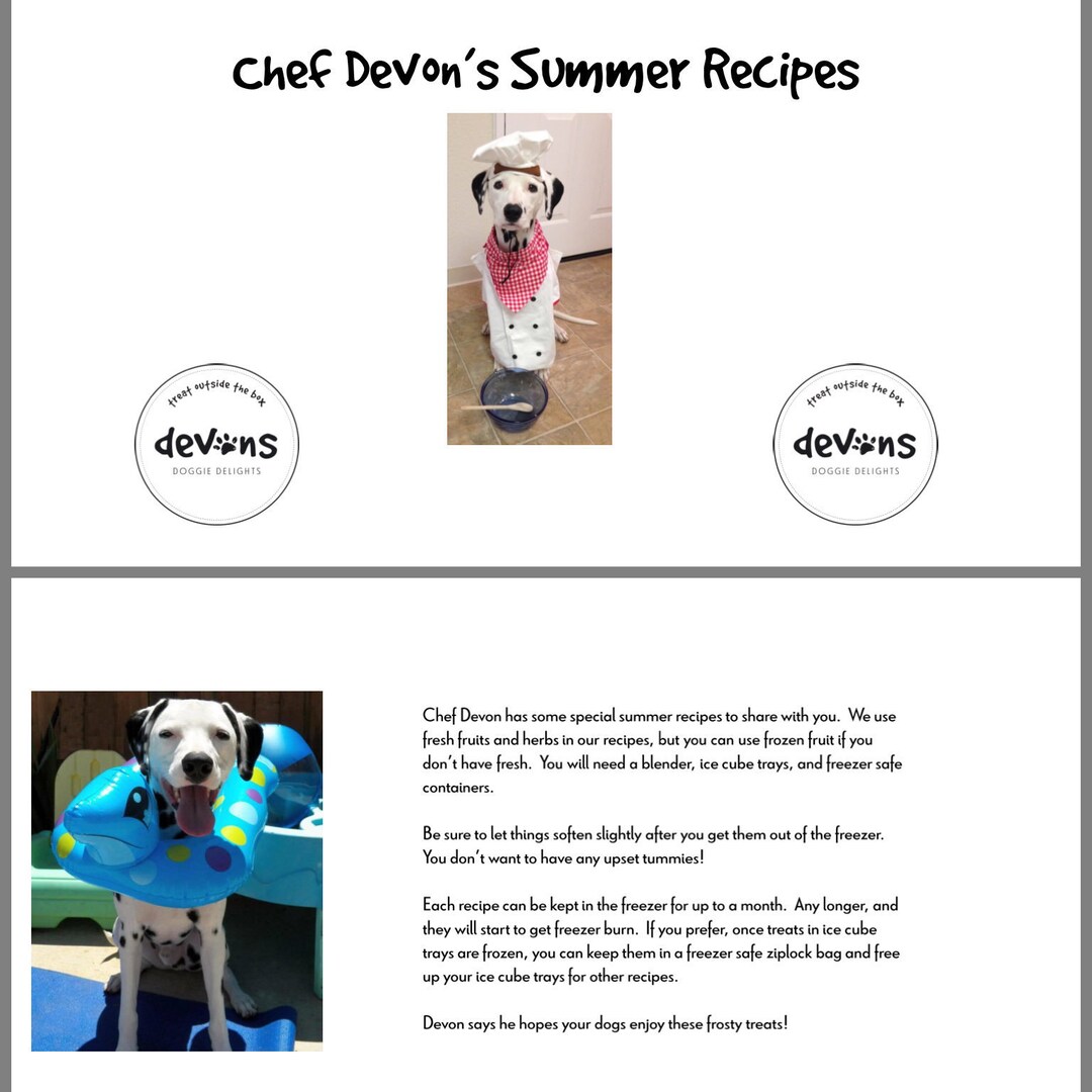 Chef Devon’s Summer Recipes - Devon’s Doggie Delights - Dog Cookbook - Etsy