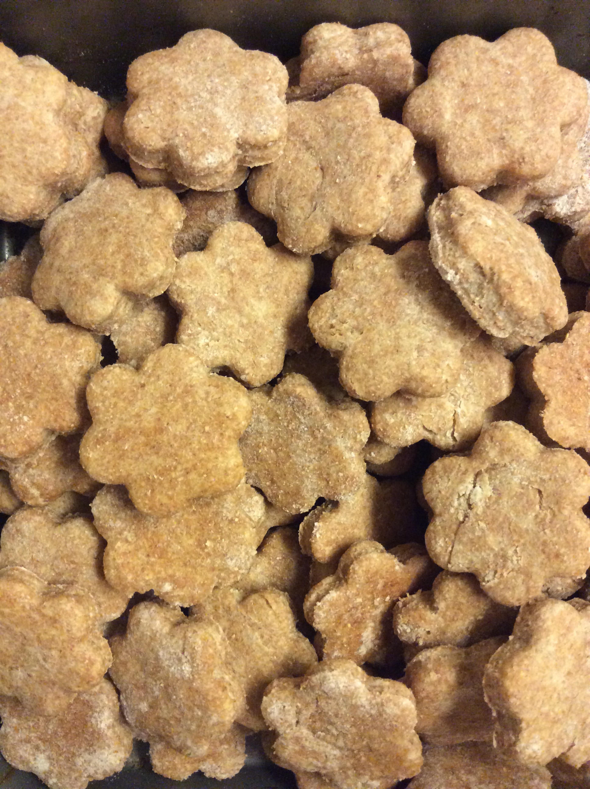 Devon's Basic Biscuits Collection - Devon's Doggie Delights - Homemade ...
