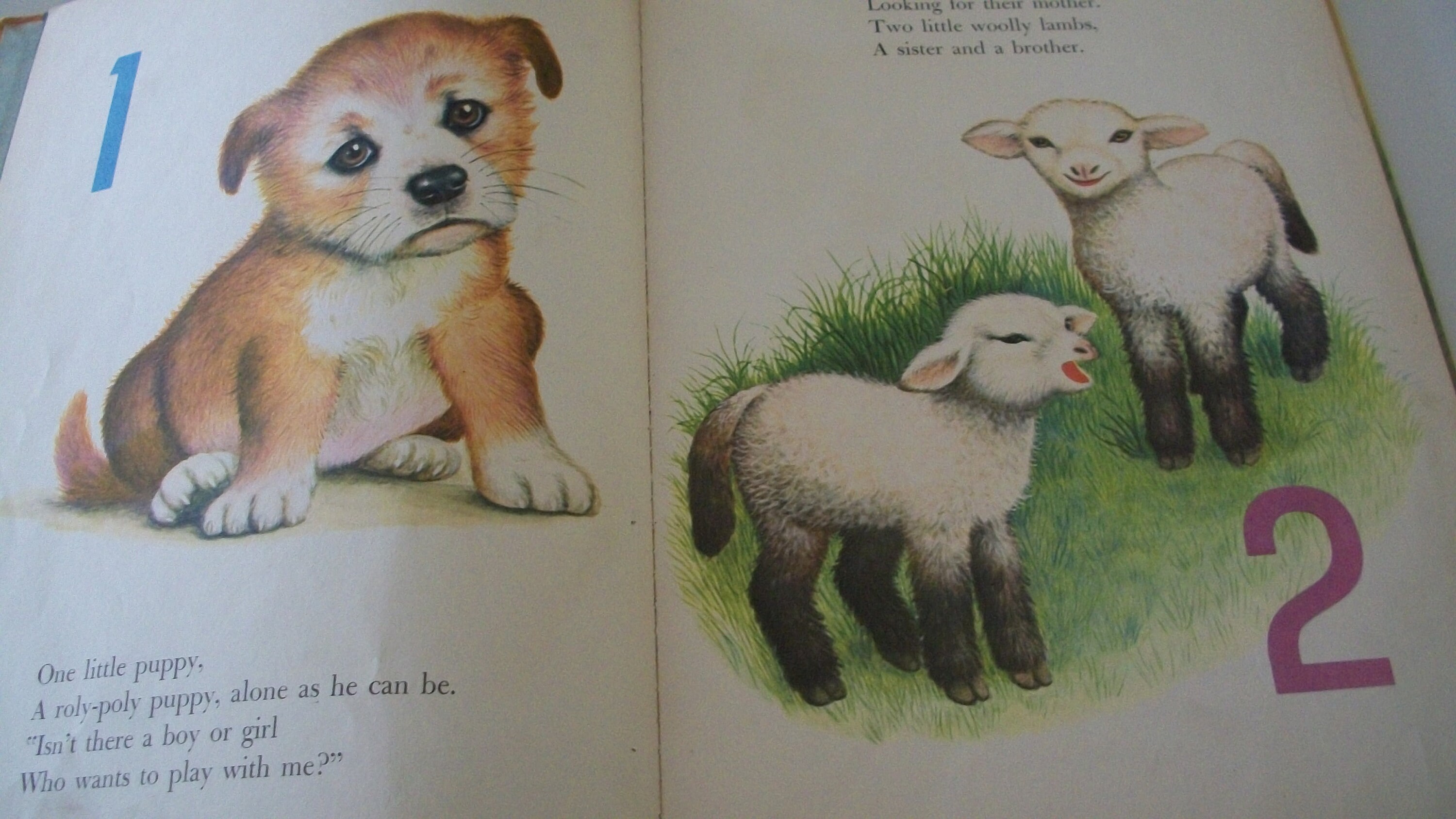 Counting Book, Children's Book, My Big Golden Counting Book, Hardcover ...