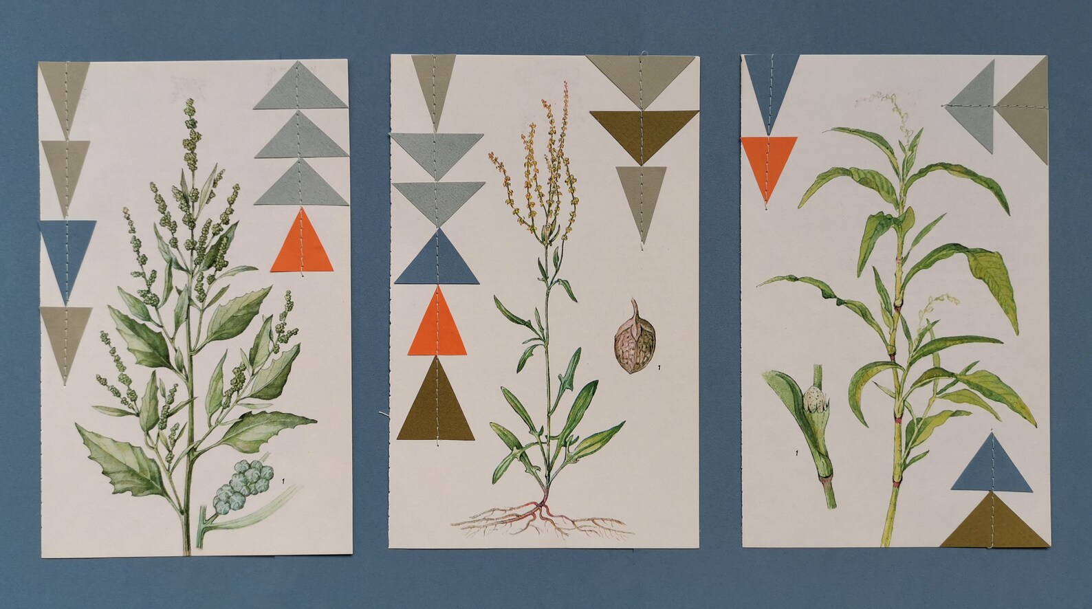 Wild Flower Art Collage - Botanical Floral Collage - Vintage Flower ...