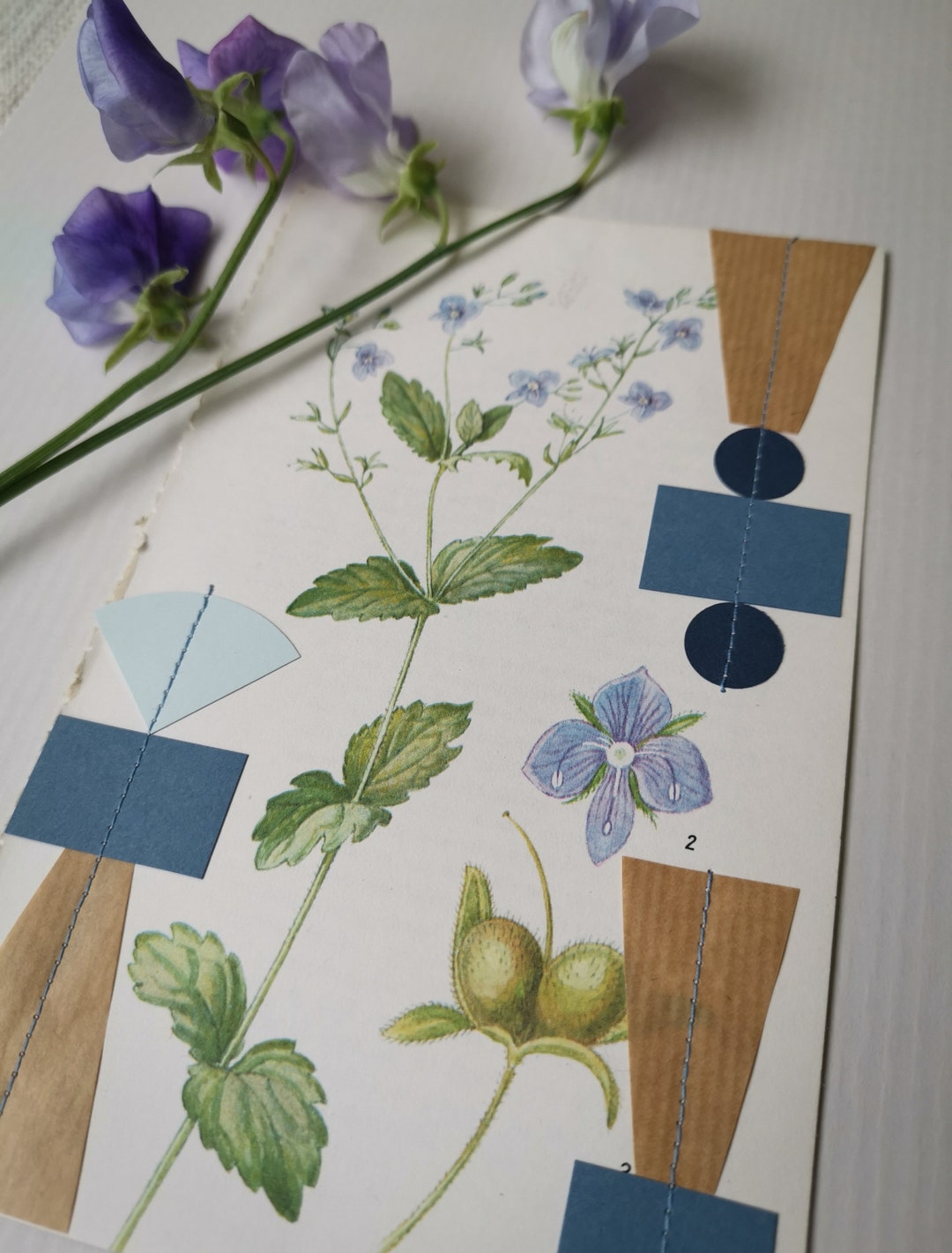 Vintage Flower Print Collage - Botanical Floral Collage - Botanical ...
