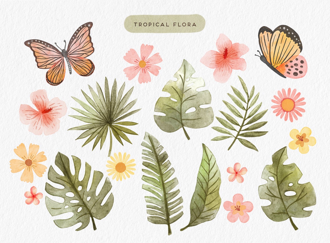 Jungle Animals Watercolor Clipart Cute Tropical Clipart - Etsy