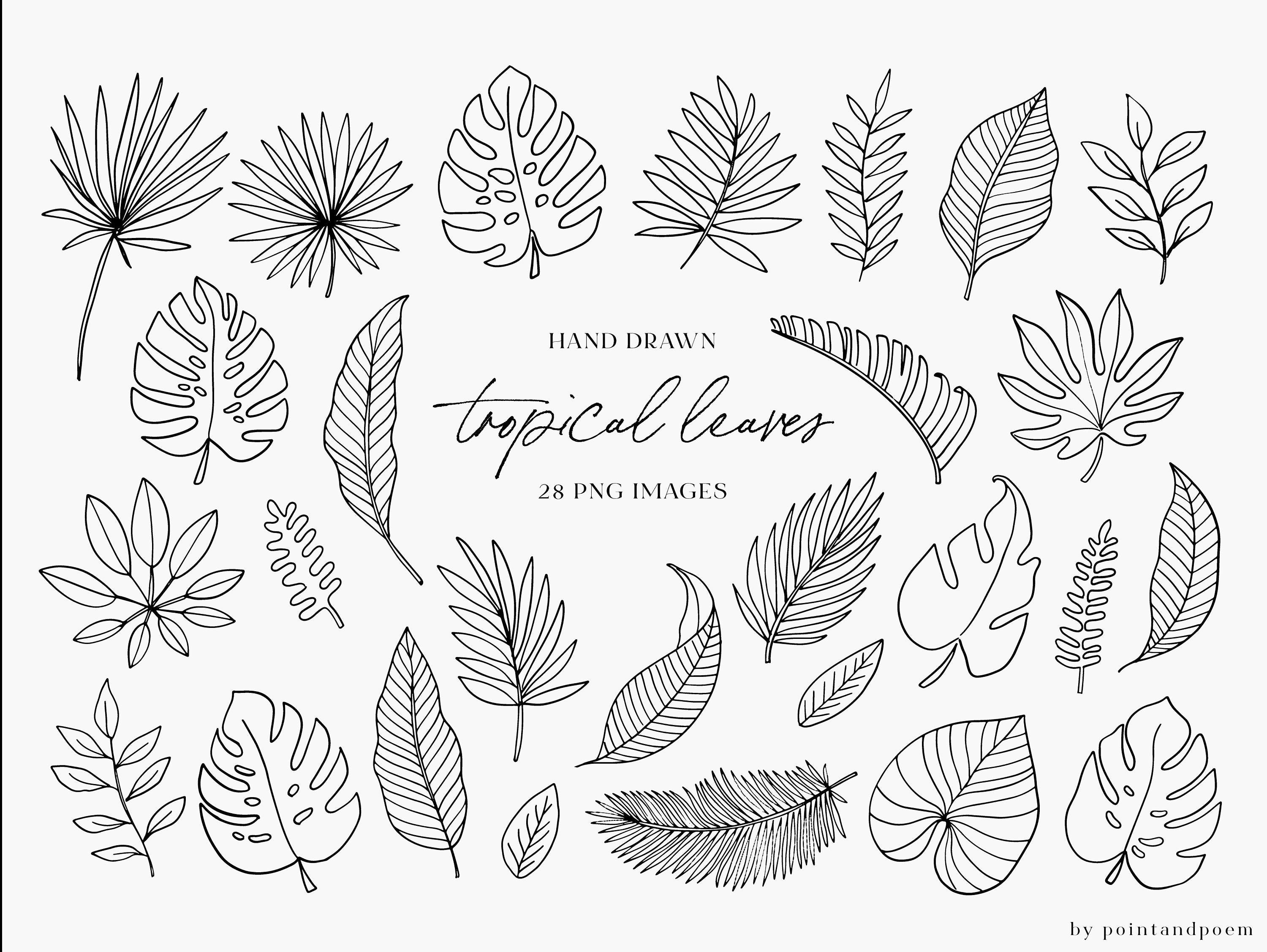 Hand Drawn Clipart Doodle Tropical Leaves Clip Art Branches - Etsy ...