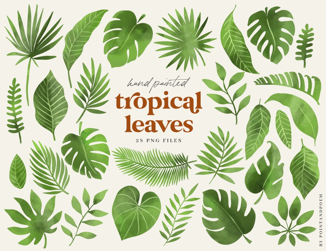 Tropical Leaves Clipart - Watercolor Green Exotic Leaves - Summer ...