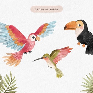 Jungle Animals Watercolor Clipart, Cute Tropical Clipart, Rainforest ...