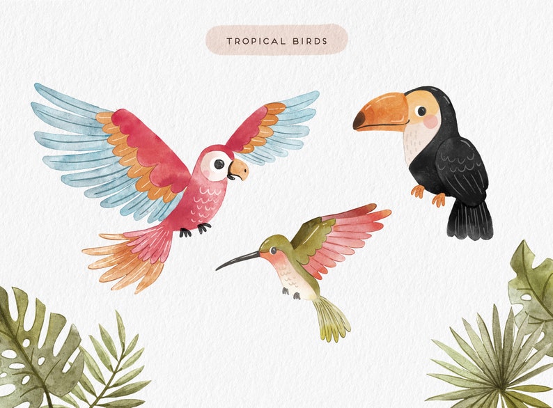 Jungle Animals Watercolor Clipart Cute Tropical Clipart - Etsy