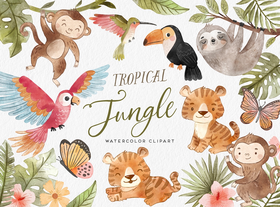 Jungle Animals Watercolor Clipart, Cute Tropical Clipart, Rainforest ...