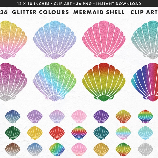 Shell Clipart - Etsy