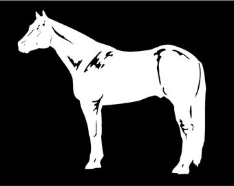 Aqha Decal - Etsy