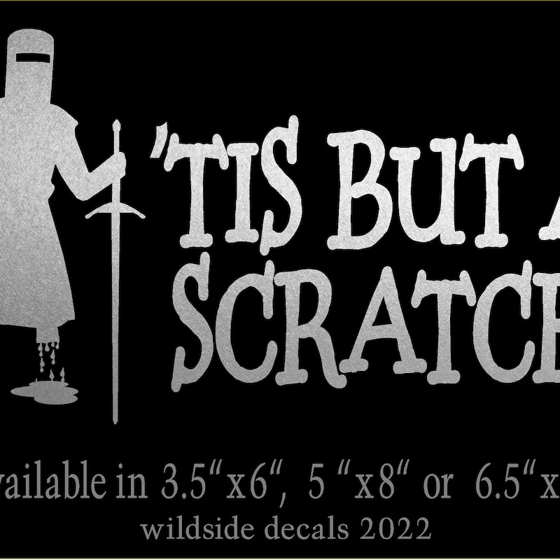 Funny Sticker for Car Dent - Etsy