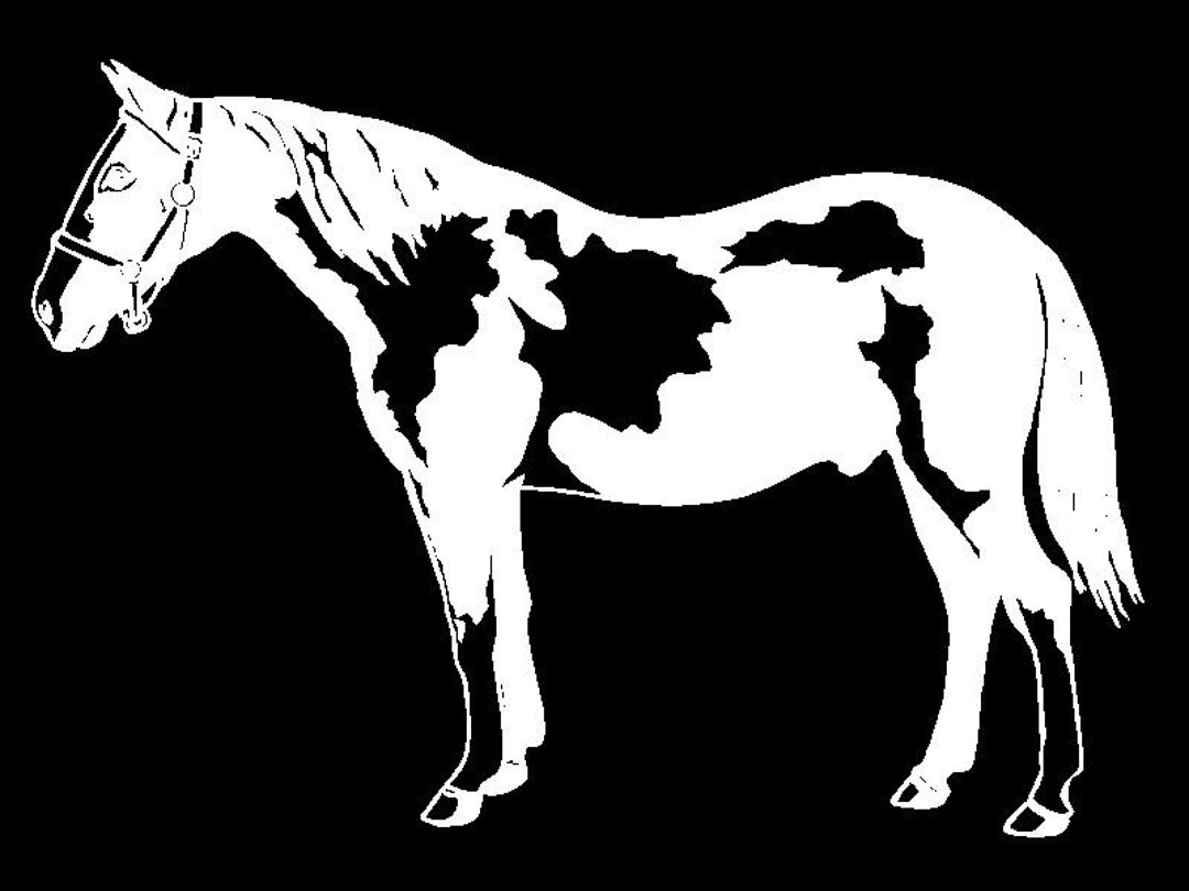 Pinto Horse Decal Full Body Contour Cut Vinyl Decal Equestrian Car ...