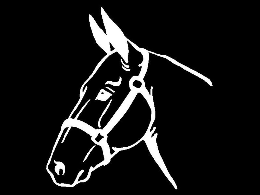 Mule Head Decal Donkey Contour Cut Vinyl Decal Equestrian Car Truck ...