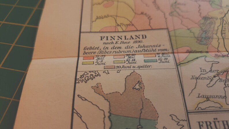 1907 Vintage Spring Arrival Map of Europe | Etsy