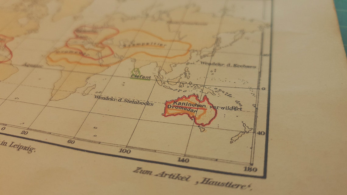1907 Vintage Mammal Areals World Map - Etsy