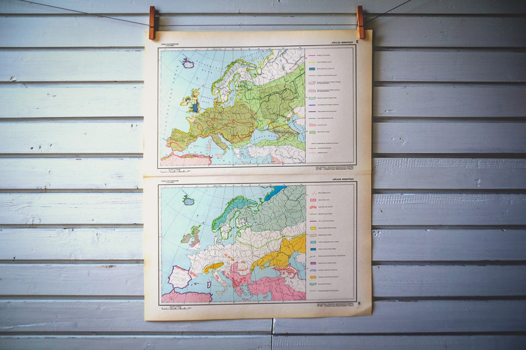 1964 Vintage Europe Fauna Map - Etsy