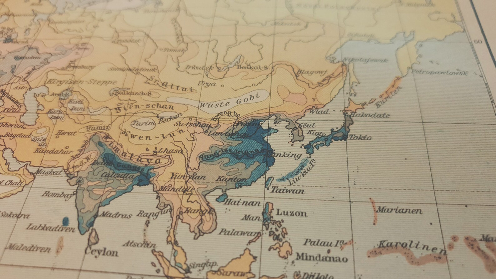 1907 Vintage Population Density World Map | Etsy