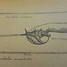 1917 Vintage Fencing Lithograph Illustration - Etsy