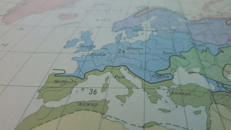 1964 Vintage Zoogeography World Map - Etsy