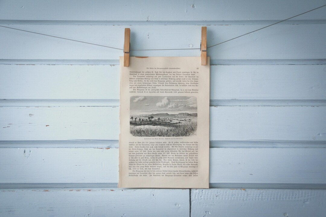 1897 Vintage Mato Grosso Lithograph Illustration - Etsy