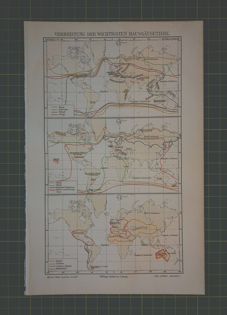 1907 Vintage Mammal Areals World Map - Etsy