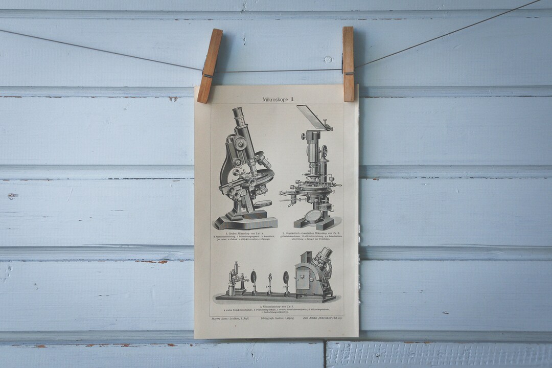 1907 Vintage Microscope Lithograph Illustration - Etsy