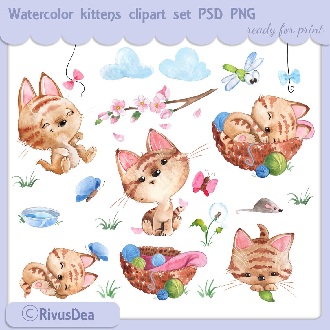 Kitten PNG Watercolor Clipart Graphics. Cat Kitty Clip Art - Etsy